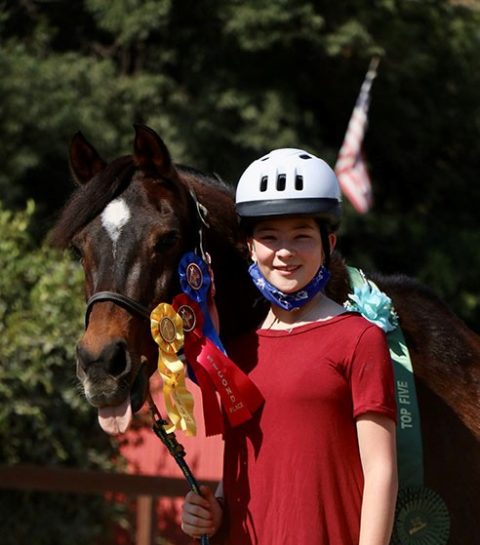 Introducing Kaeli! - takingthereins.org