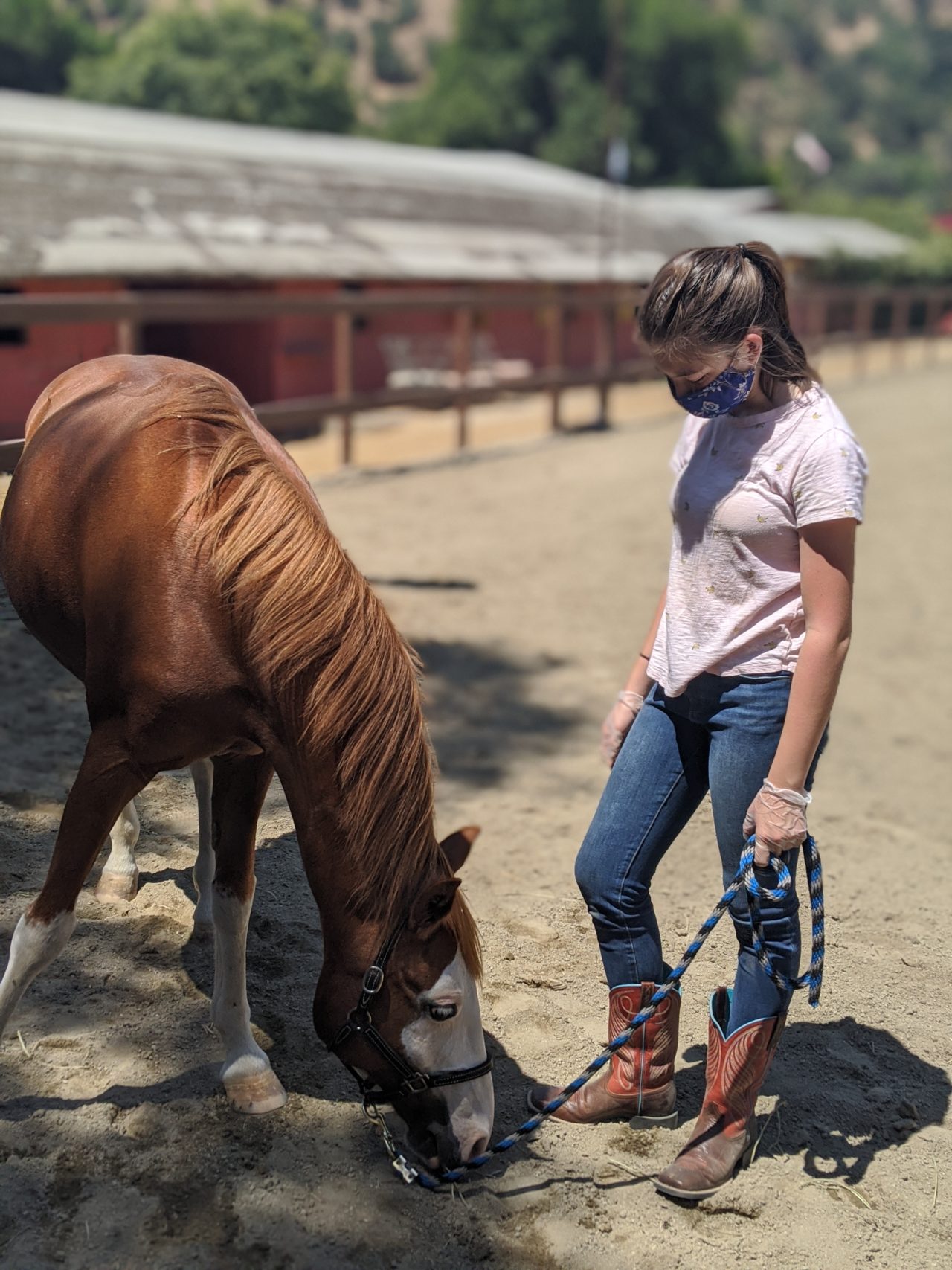 Introducing Kaeli! - takingthereins.org